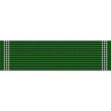Hawaii National Guard Military Ribbons